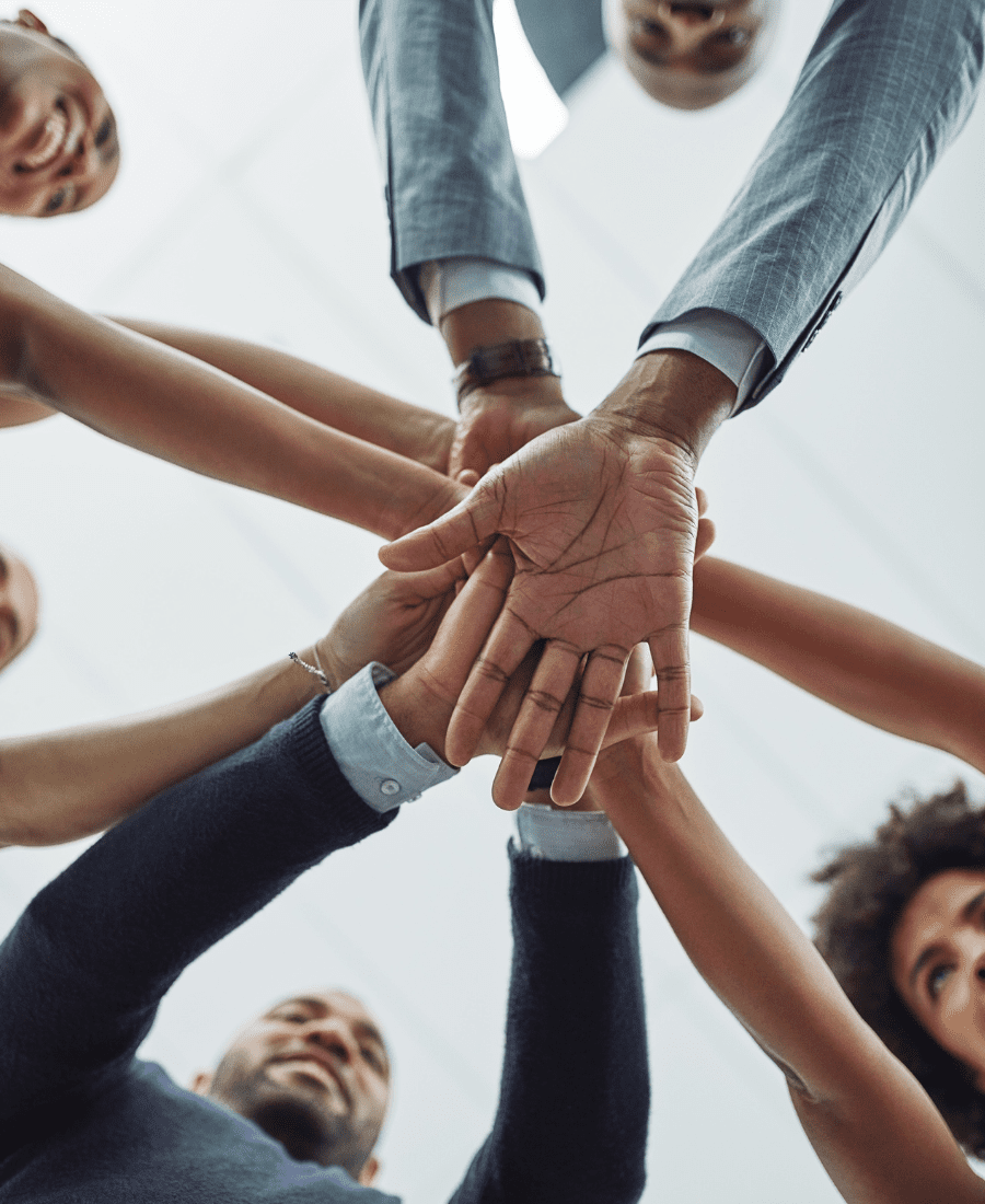 LJA Survey | Findleansolutions